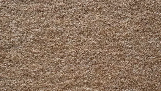 Decoplain5